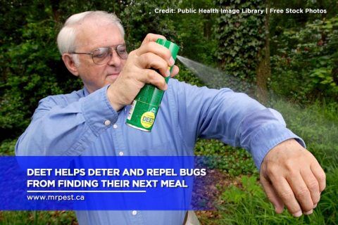 How to Enjoy a Bug-Free Backyard Barbecue - Mr Pest Control