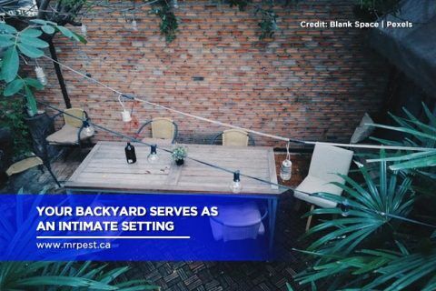 How to Enjoy a Bug-Free Backyard Barbecue - Mr Pest Control